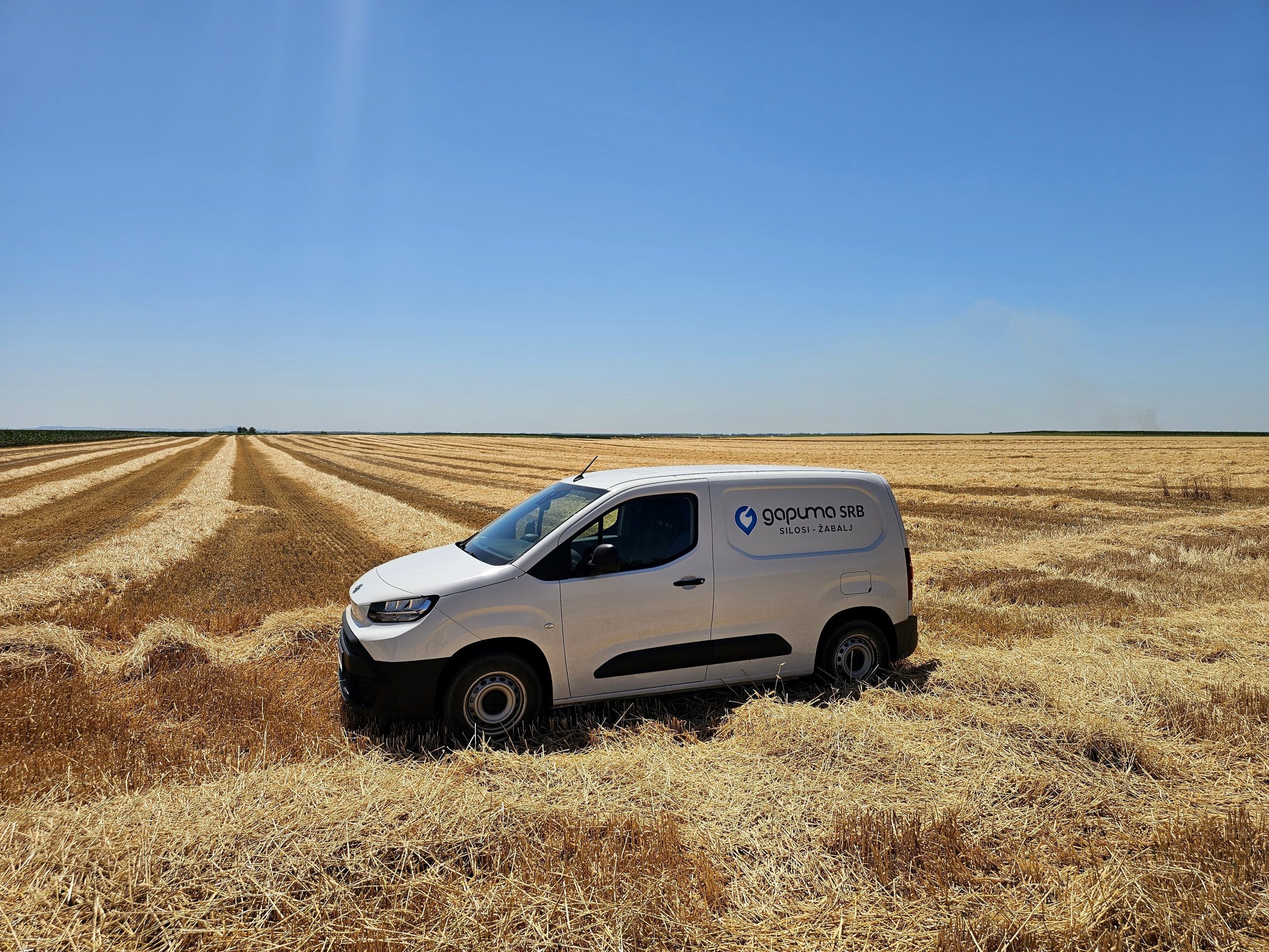 From Golden Fields to Global Tables: Gapuma’s First Wheat Harvest in ...
