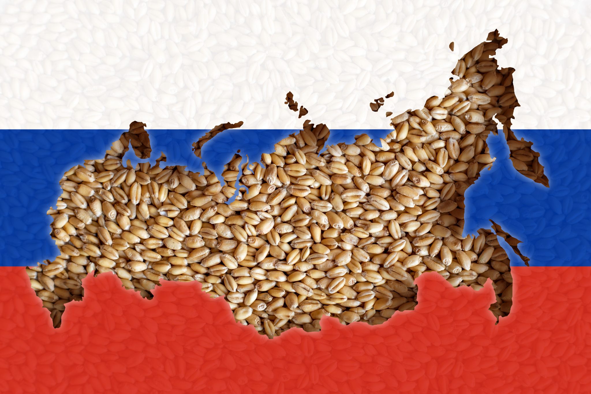 Russia’s Wheat Ambitions Could Redraw the Map of European Grain Markets ...